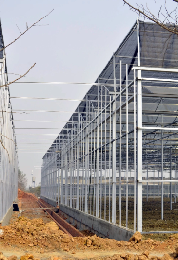steel frame greenhouse for sale - Buy Product on HUIJING GREENHOUSE