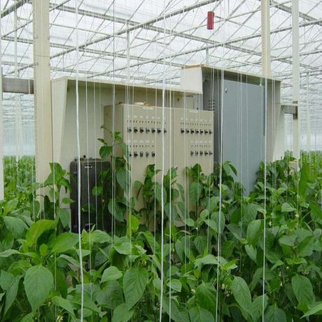 Automated Greenhouse Environment Control System Venlo Greenhouse ...